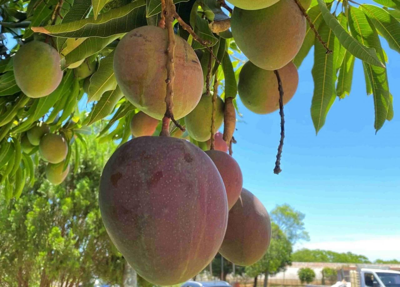 Events | Independent Evaluation Unit | Green Climate Fund