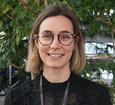 About the Bees, Climate and Complexity | Independent Evaluation Unit ...